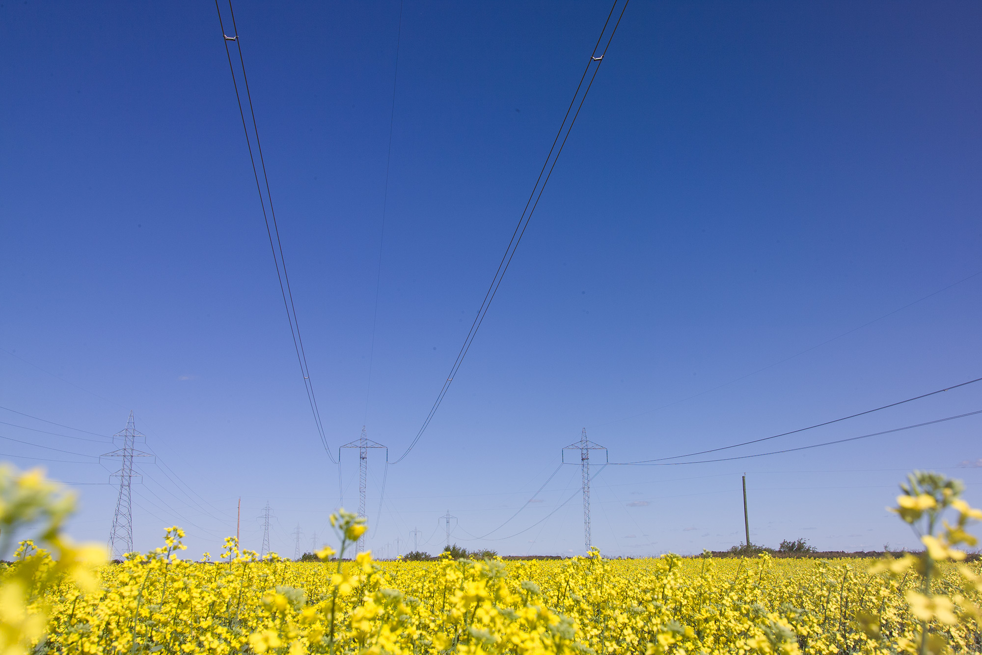 Manitoba Hydro 2025 pesticide program