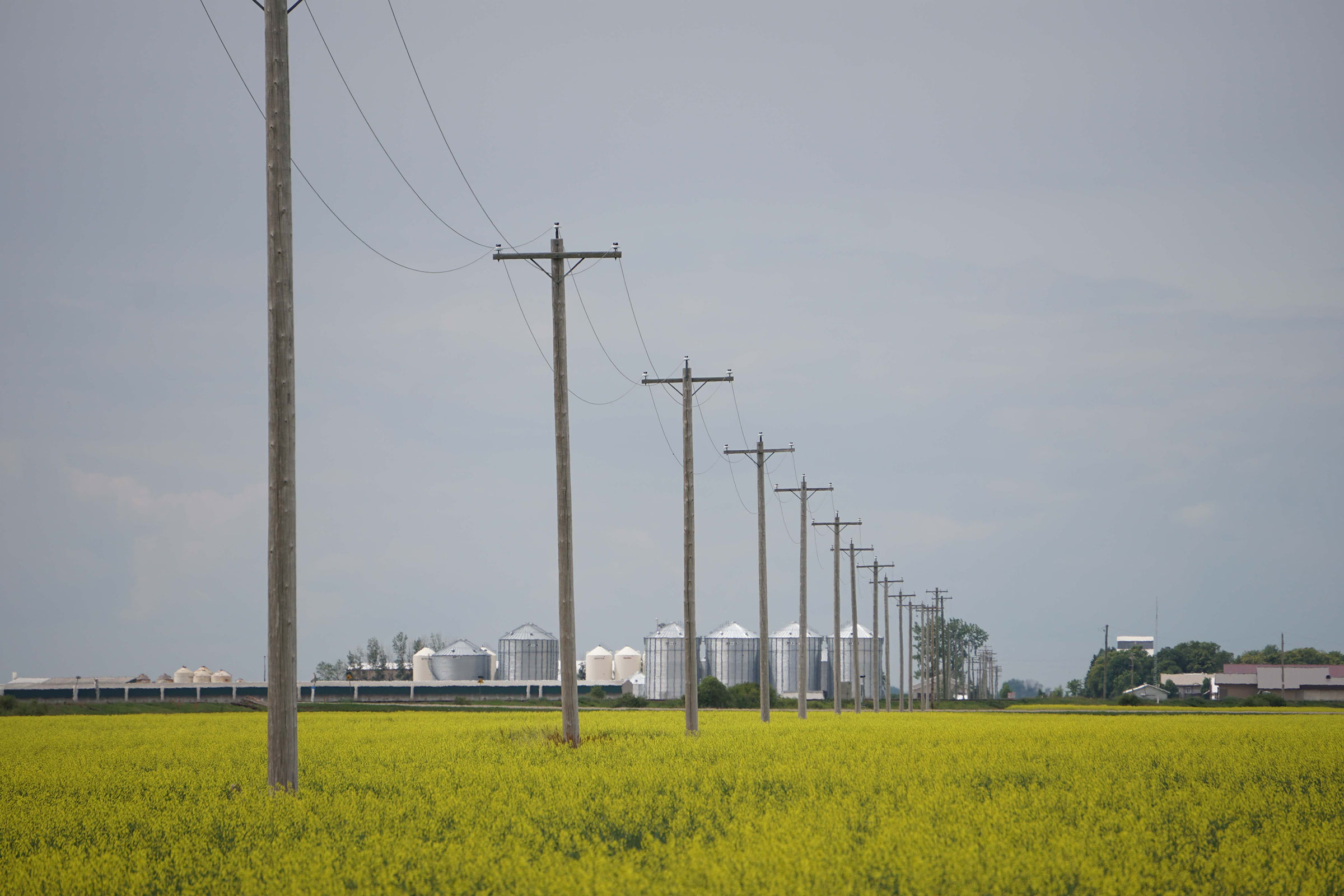 Wood poles — old-fashioned, or stands the test of time